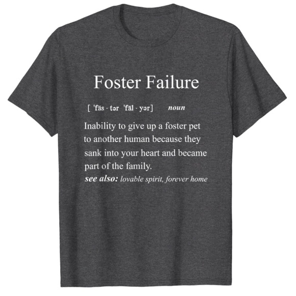 Port and Company | Shirts | Foster Failure Definition Tshirt | Poshmark